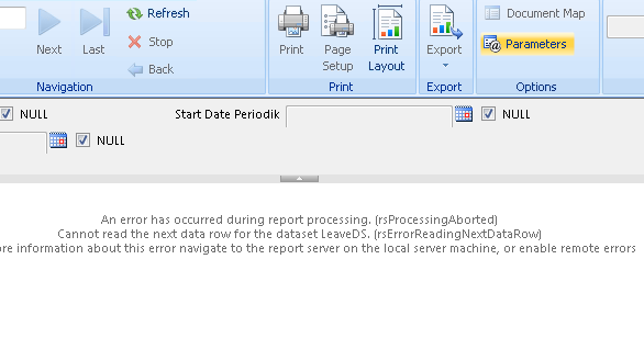 An Error Has Occurred During Report Processing. (rsProcessingAborted)