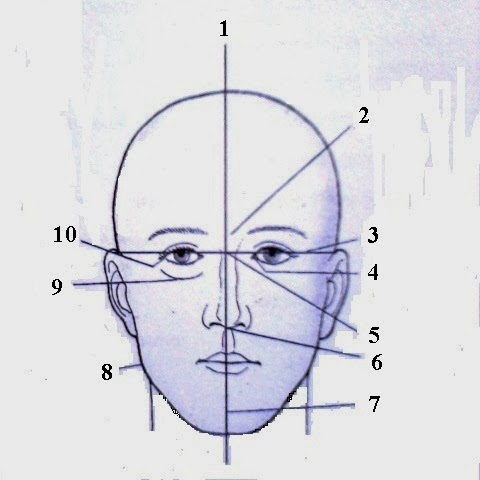 Sahabat Afterego: Topologi radiografi kepala