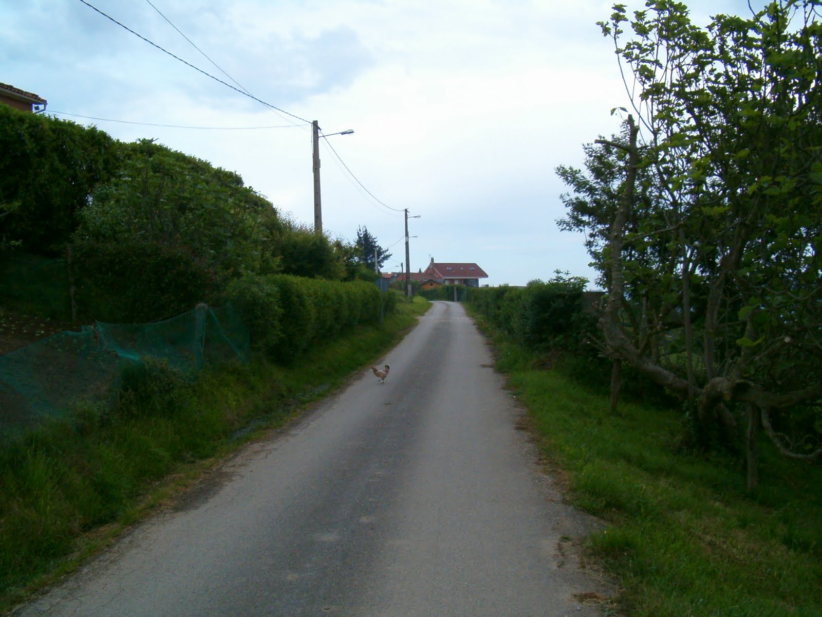 Camudando'l camín: Tueya (Xixón) - Picu'l Sol - Picu Samartín - El Xigal