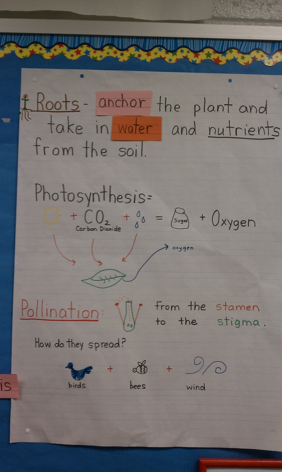 Science Gal: Another Vocab Strategy...cloze!