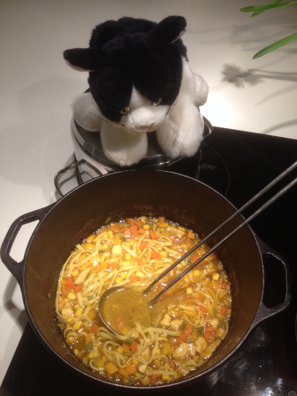 FAT CAT'S COOKBOOK: Letter to Fat Cat about Curry Soup from Twilight ...