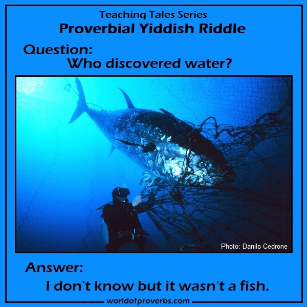 Photo by Danilo Cedrone