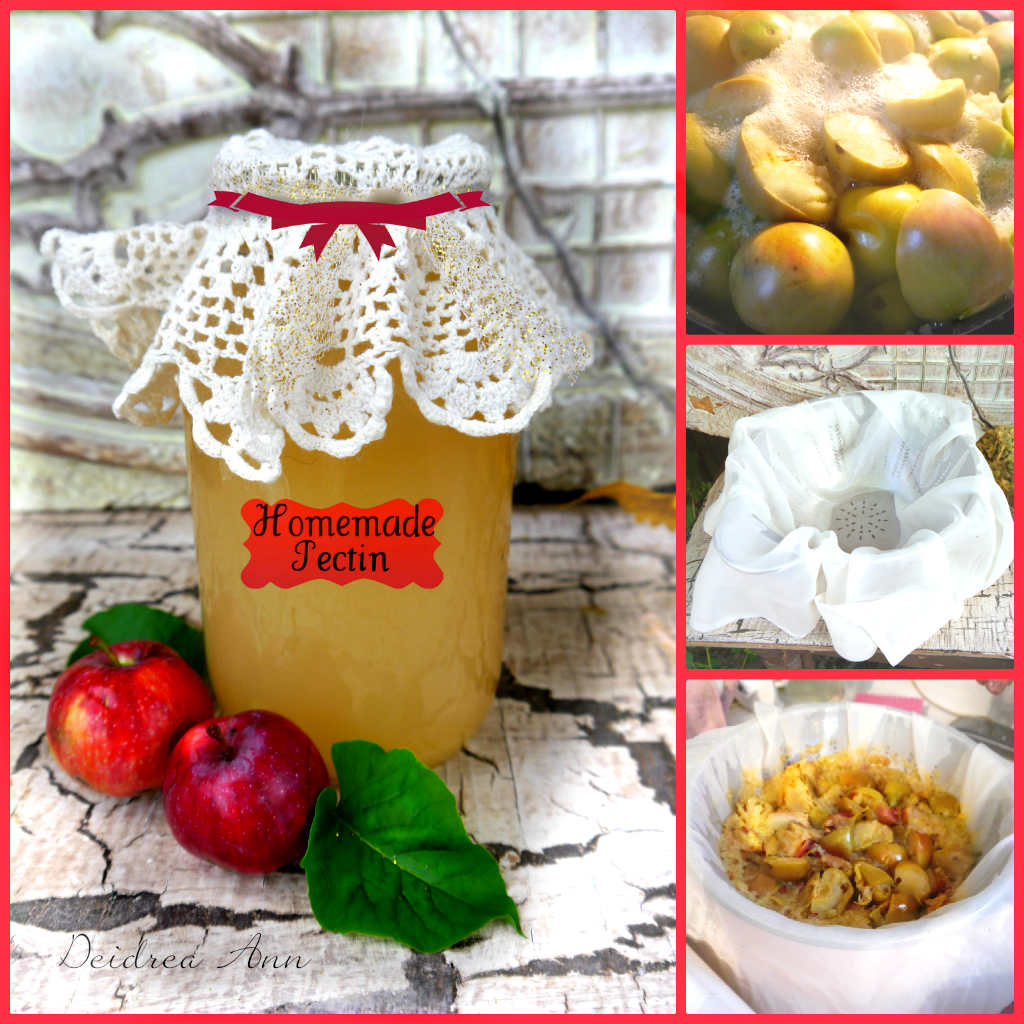 Suzy Homefaker: HOME~MADE ALL NATURAL PECTIN