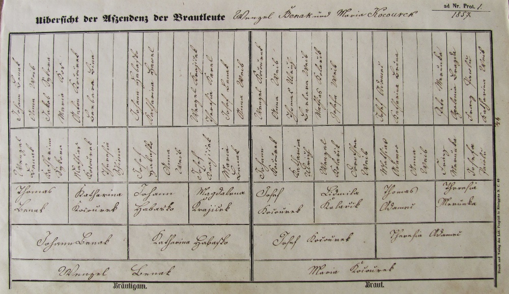 Czech Genealogy blog: Loss of ancestors - pedigree collapse