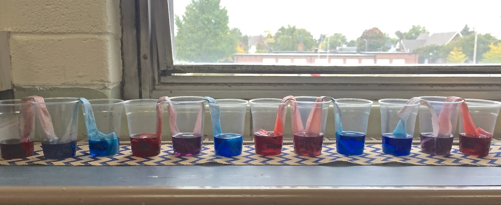 Mrs. Garrabrant's Classroom: Leaf Pictures, Purple Experiment, Library ...