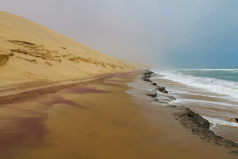 Namib Desert, Where the Desert meets the Ocean