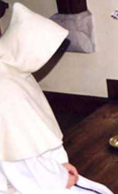 Notes from Stillsong Hermitage: Diocesan Hermits as Hothouse Blooms?