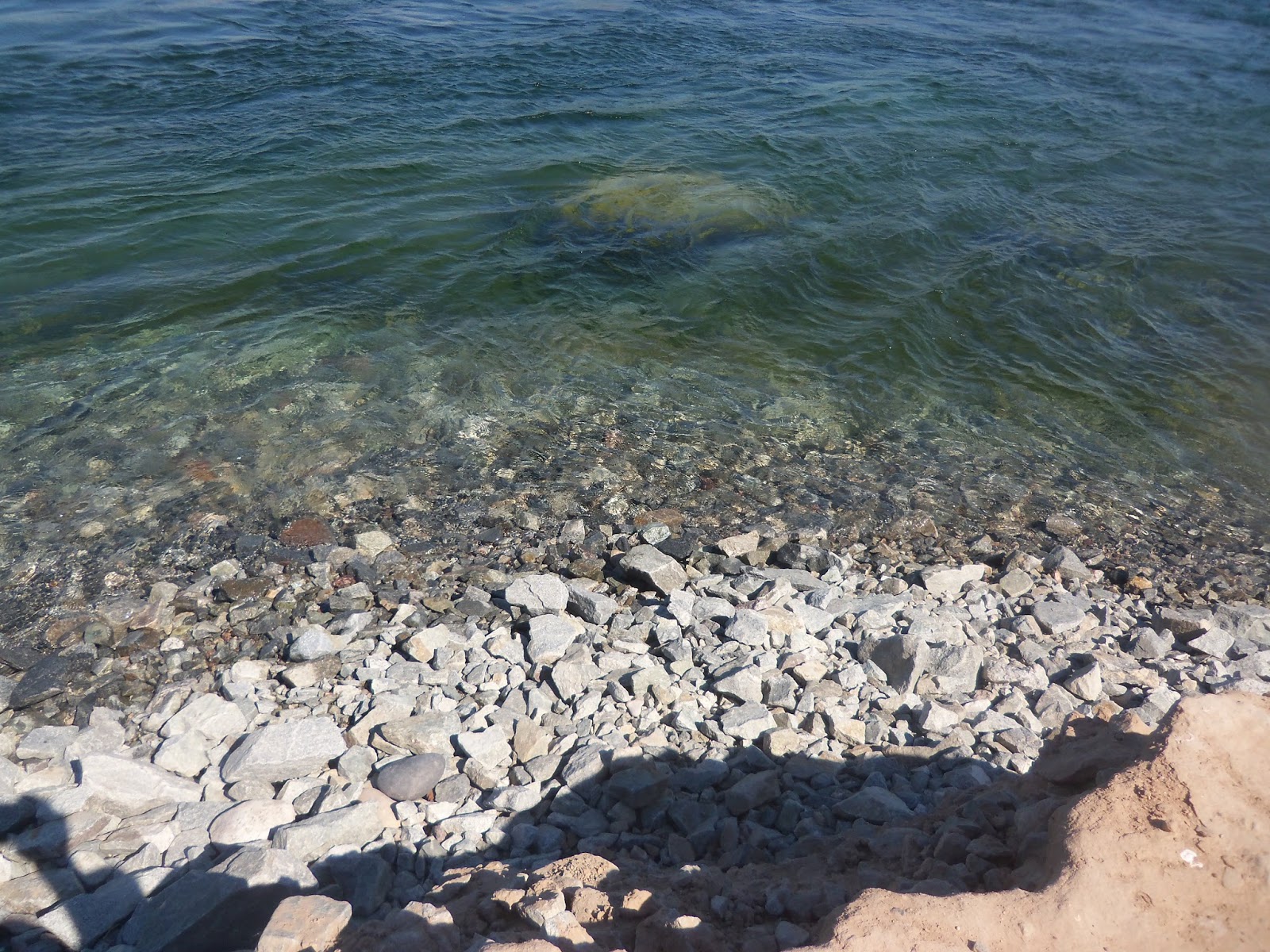 What will the day bring...: A day visiting Laughlin Nevada Lake Mohave