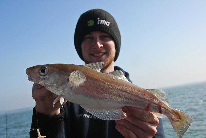 Mission Impossible : To catch 100 species of saltwater fish from ...