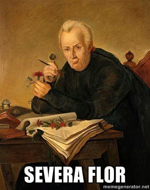 La historia de las plantas : El porqué de severaflor