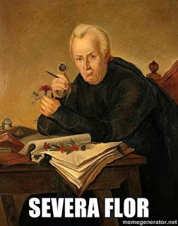 La historia de las plantas : El porqué de severaflor