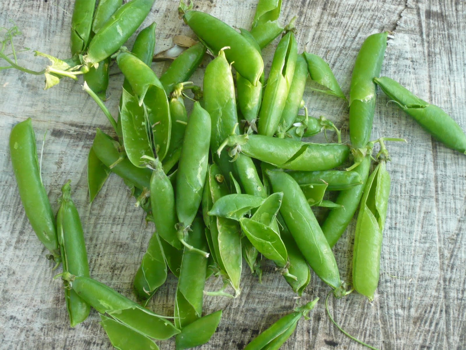 La bonne bouffe: Pea-Pod Stock