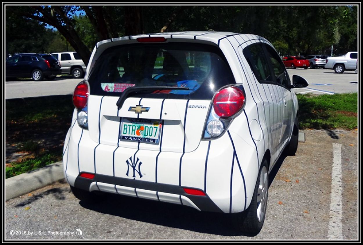 Ocala, Central Florida & Beyond: New York Yankees Car