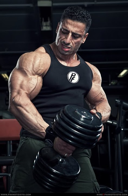 mr olympia 2012, mr olympia 2012 predictions, mr olympia 2012 winner ...