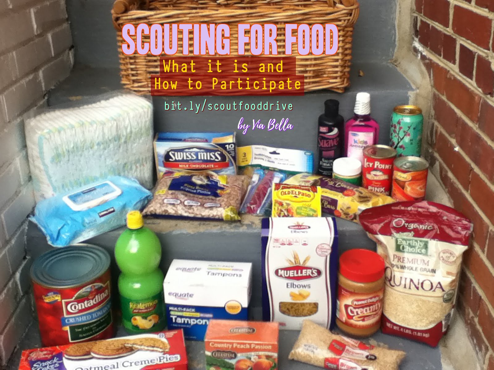 Via Bella: Scouting For Food: What It Is and How to Participate