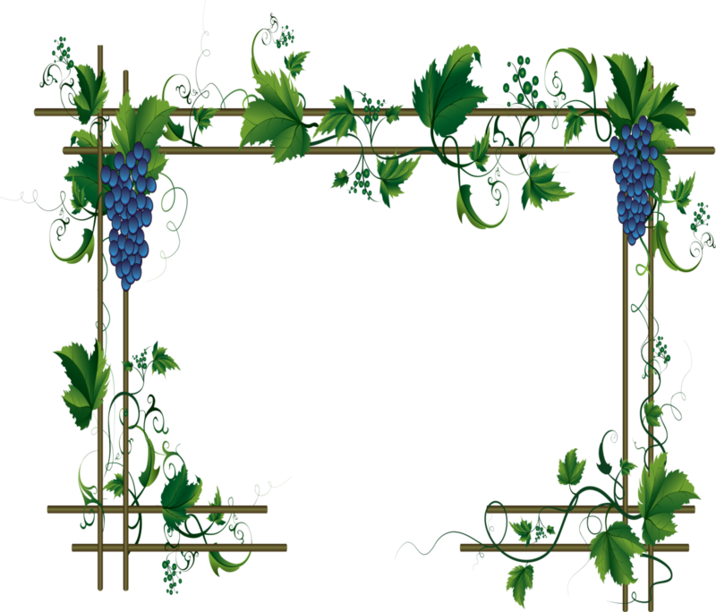 ForgetMeNot: grapes frames