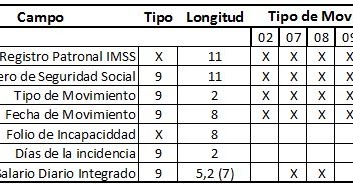 Lady Contadora: Importar movimientos de salario a SUA y de SUA a IDSE