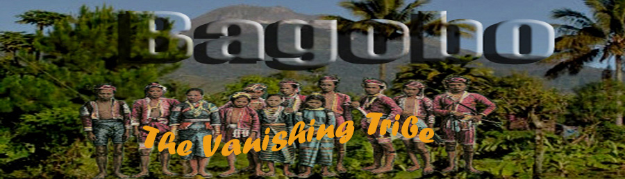 Bagobo: The Bagobo Tagabawa