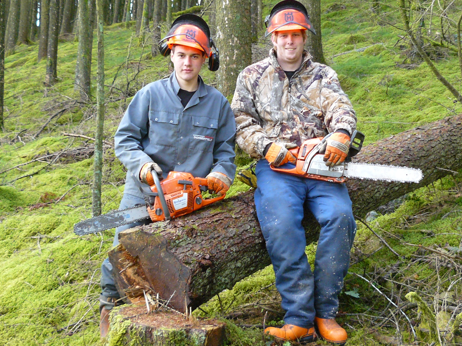 Environment Skills Training: Lantra 5 day chainsaw, felling up to 15 ...
