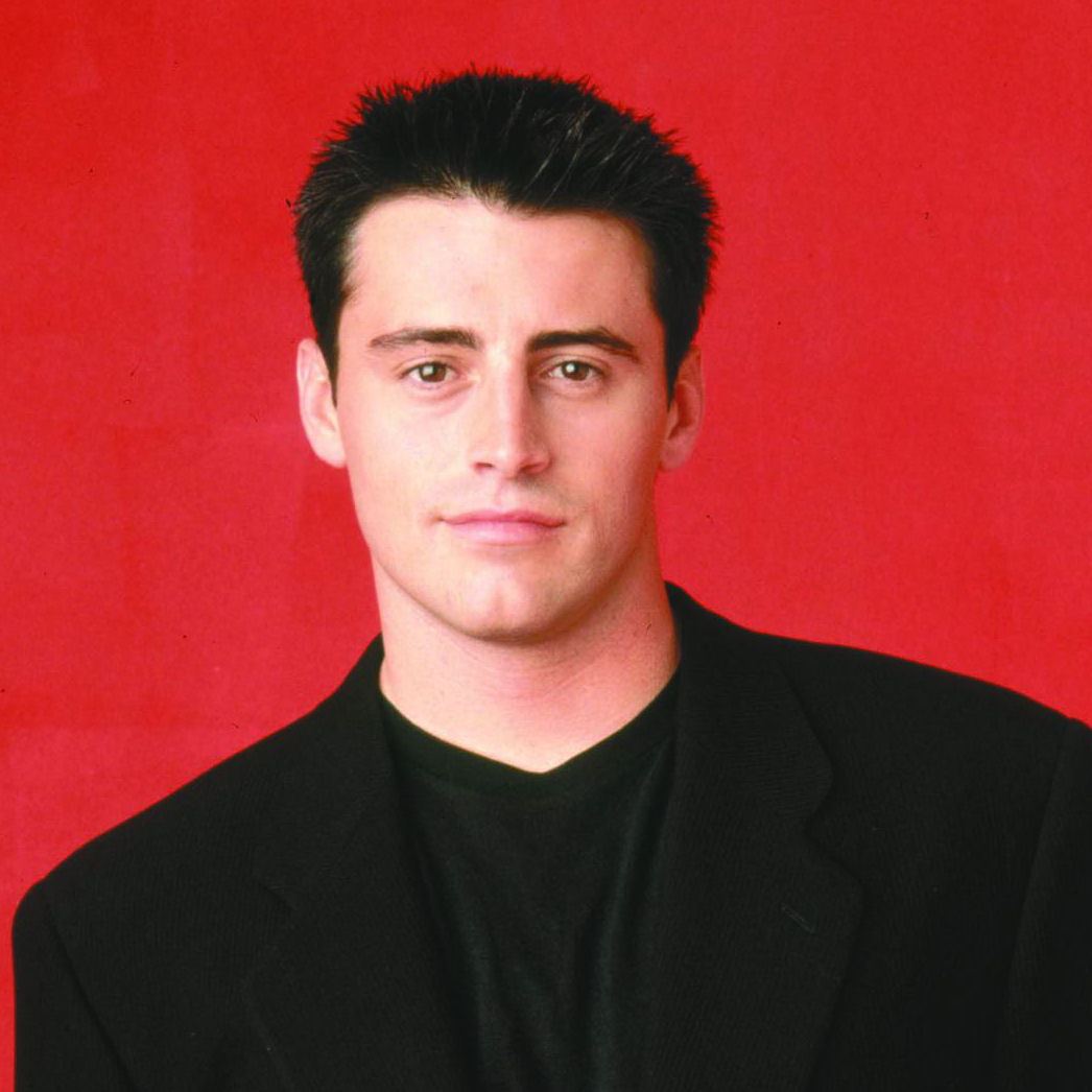 Hall Stars Wall: Matt LeBlanc