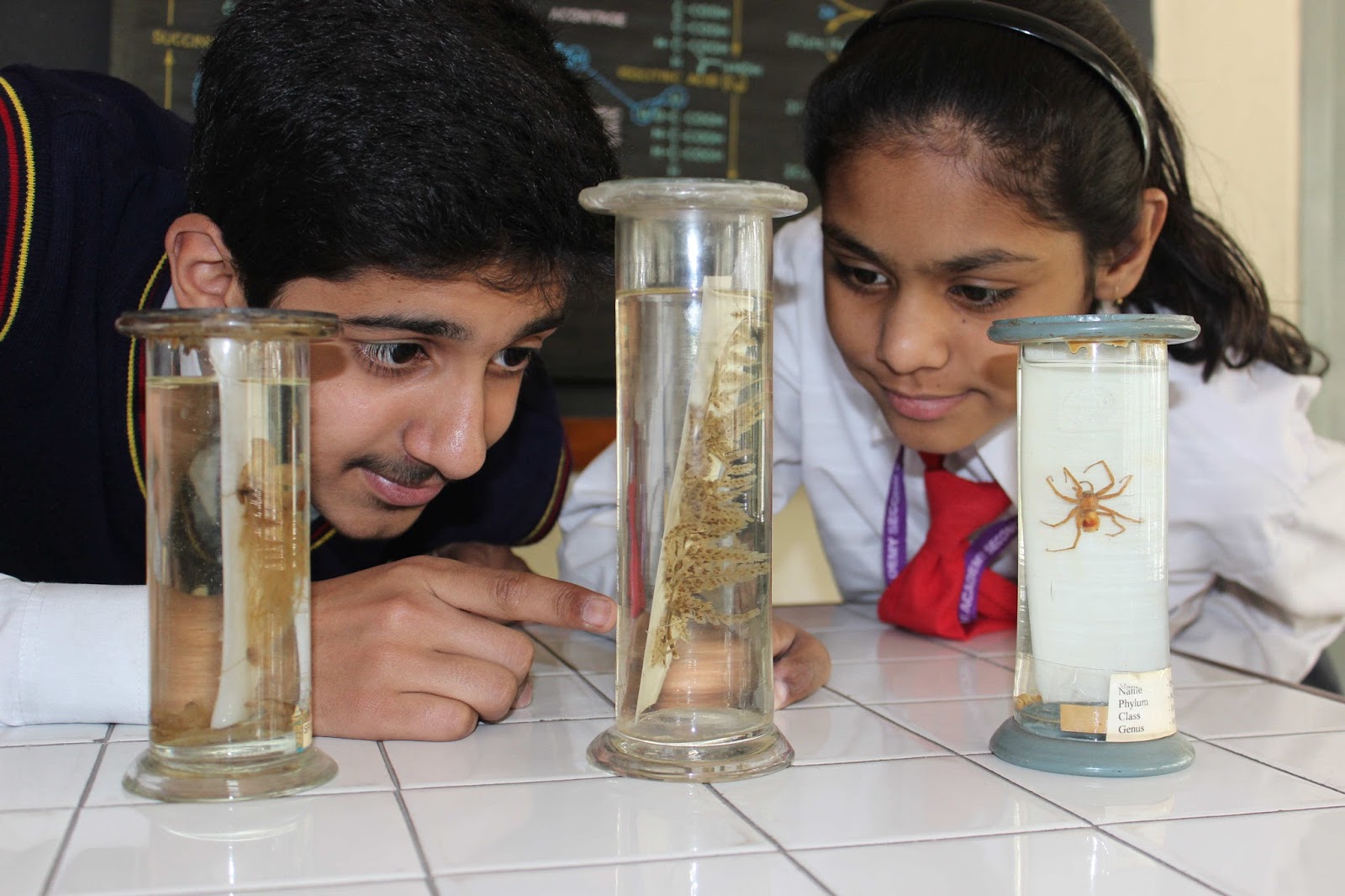 Life Science Teacher: CBSE BIOLOGY PRACTICAL QUESTION PAPER CLASS 11