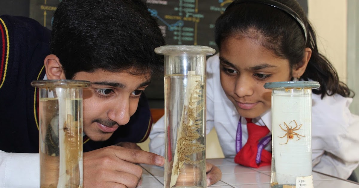 Life Science Teacher: CBSE BIOLOGY PRACTICAL QUESTION PAPER CLASS 11