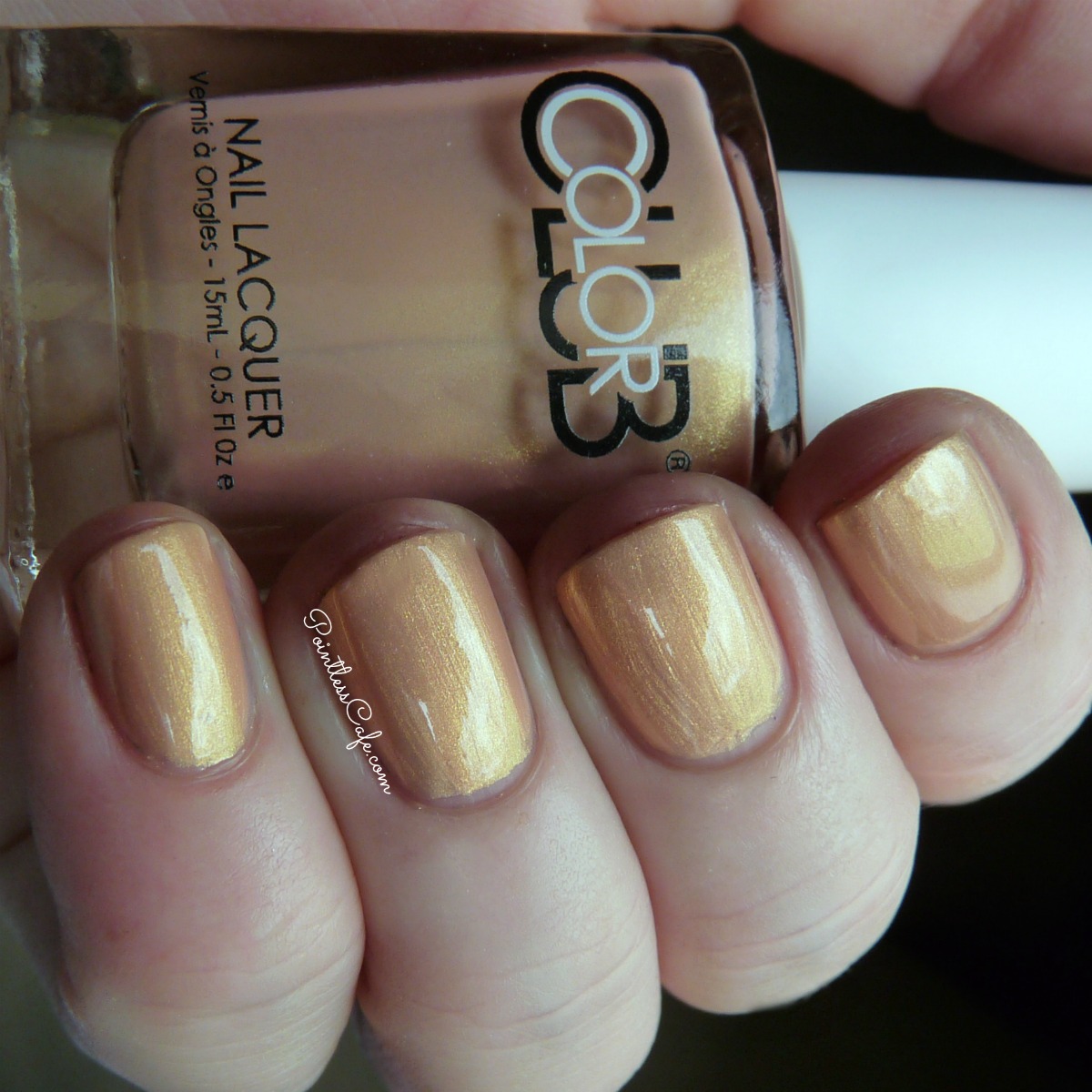 Color Club Safari Garden Collection for Spring 2014 | Pointless Cafe