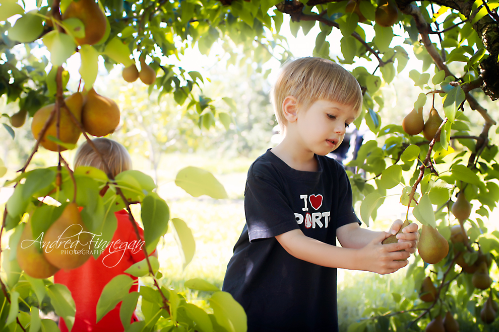 Andrea Finnegan Photography