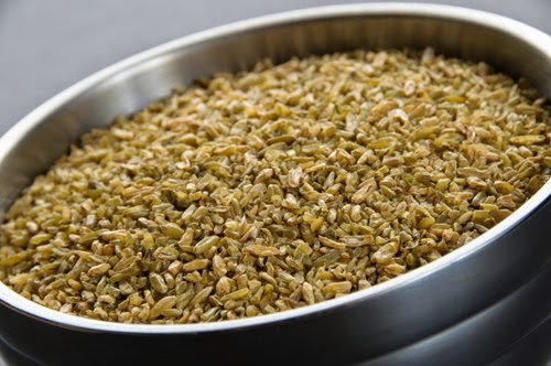 Balneário Camboriú SC: Freekeh, o alimento da moda