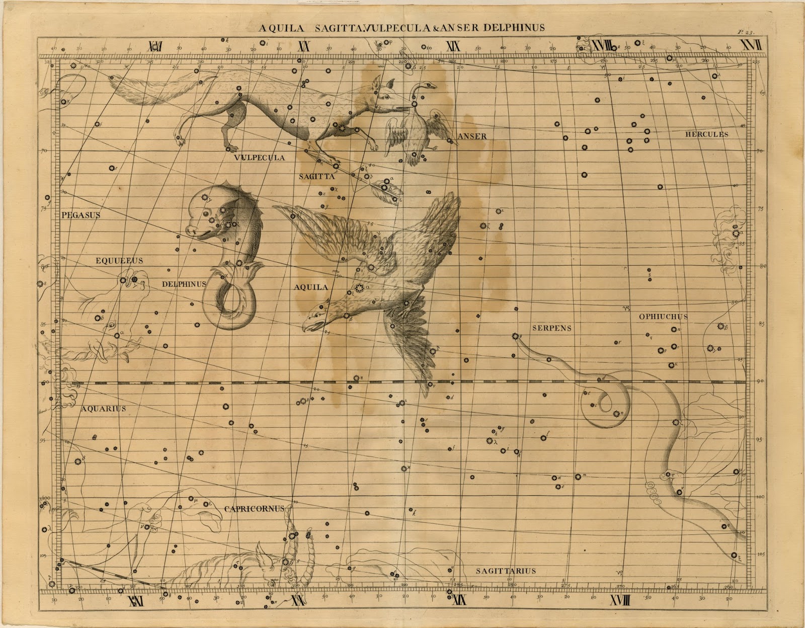 Sri Ganesha Blog: Carta Celeste