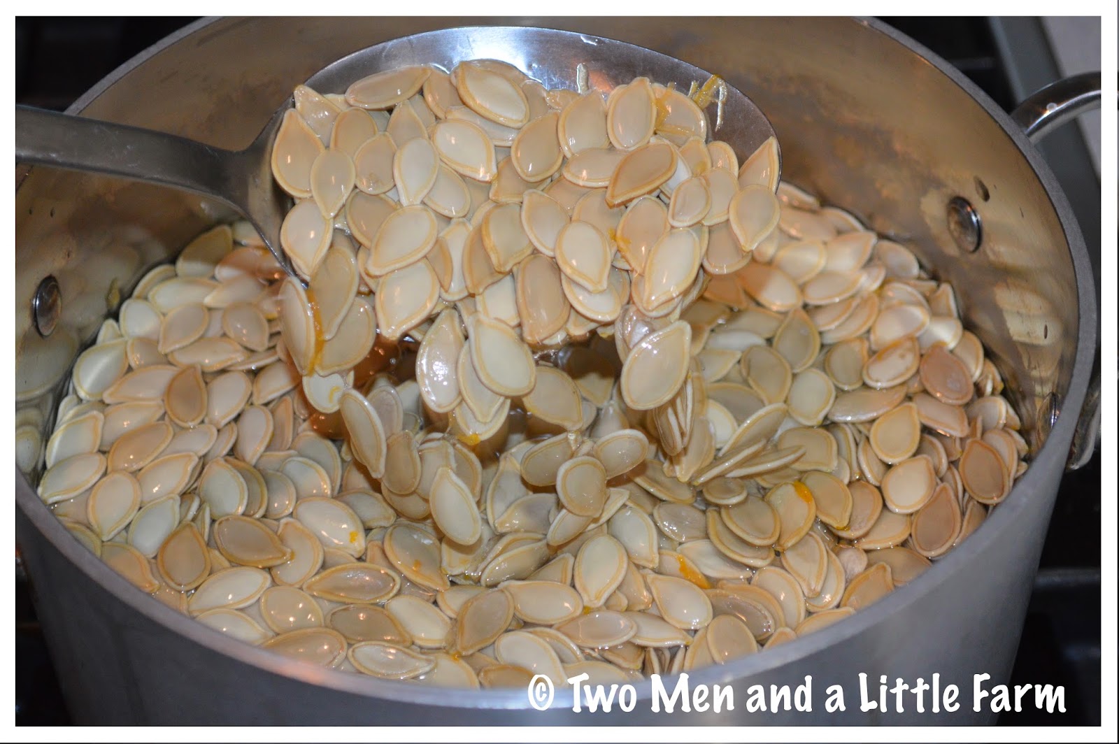 Two Men and a Little Farm: HOW TO ROAST PUMPKIN SEEDS