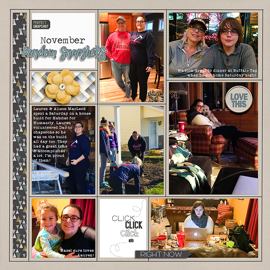 Barbara's Cre8ive Escape: November 2015 Monthly Random Snapshots