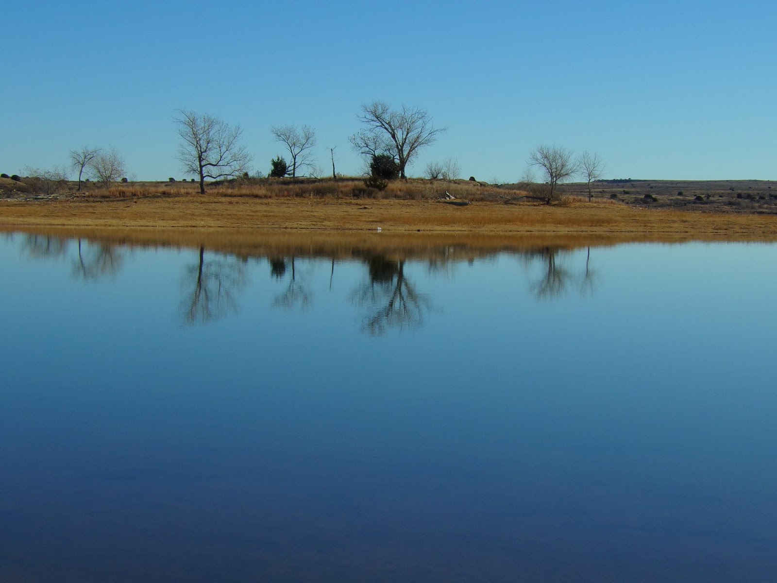 Sumner Lake State Park, Fort Sumner, New Mexico
