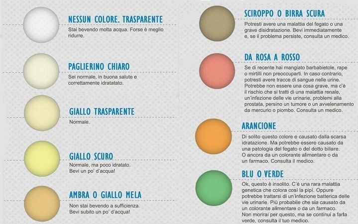 Informati, Italia: Dal colore delle urine possiamo capire molte cose ...