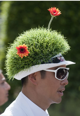 Mashmoom: Chelsea Flower Show , London 2012