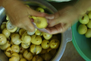 I and the world: Marula Jelly