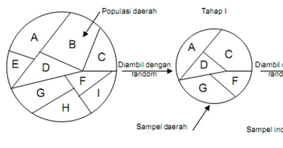 Cluster Sampling dan Multistage Sampling | ELEVEN （ じゅういち）