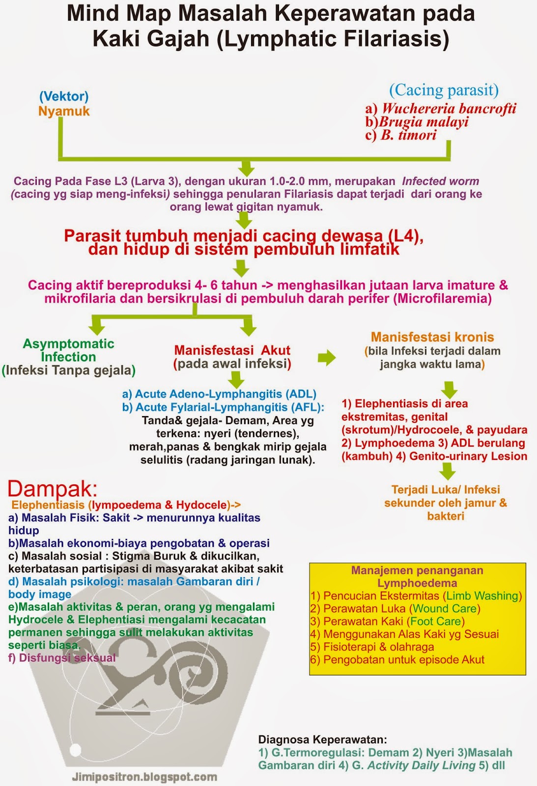 Kaki Gajah (Lymphatic Filariasis)