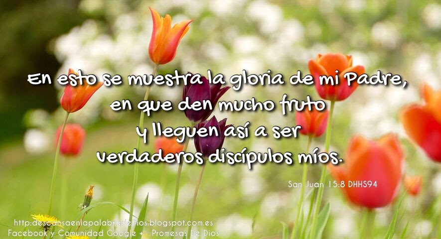 Promesas de Dios: Juan 15:8