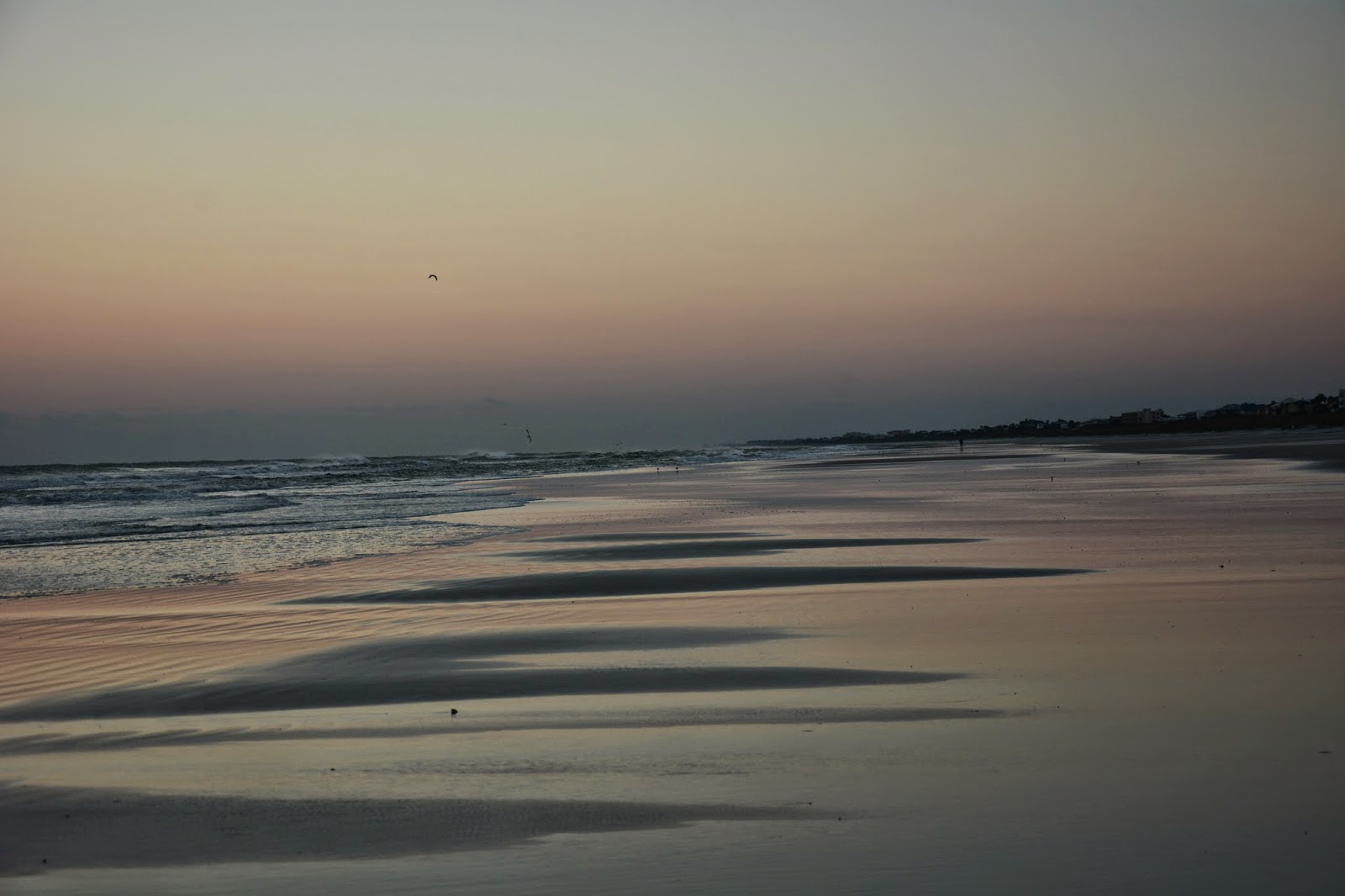 PL Fallin Photography: A Chilly First Day of November