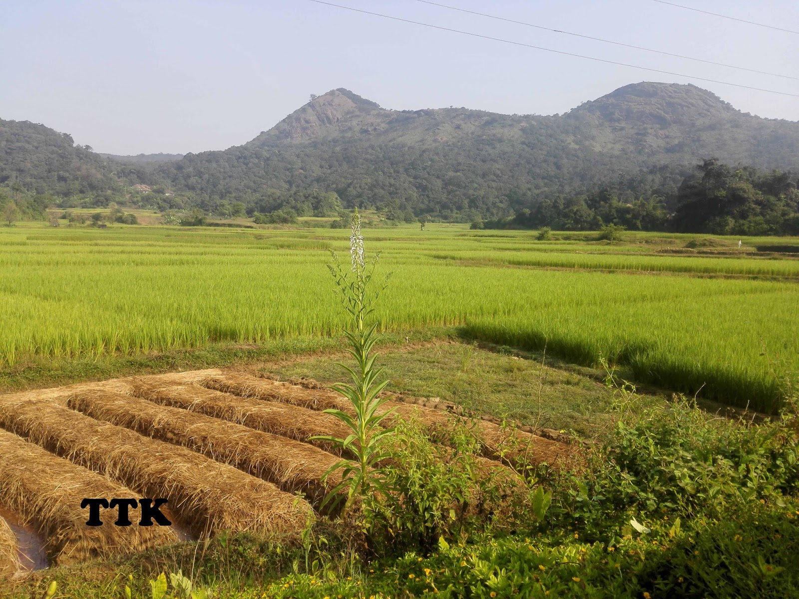 Tony Tom K: Bisle ghat view point bike ride