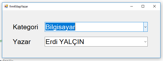 Entity Framework Combobox C Windows Form Erdi YalÇin