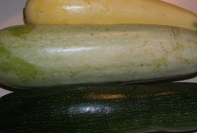 God's Growing Garden: Light, Medium and Dark Zucchinis