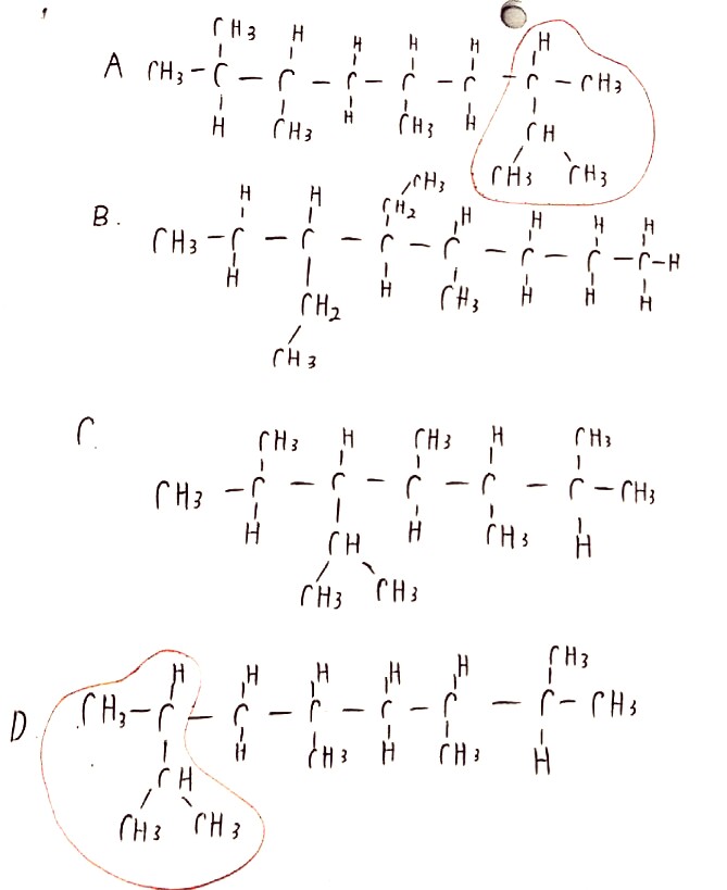 C4h9cl Isomers Structure