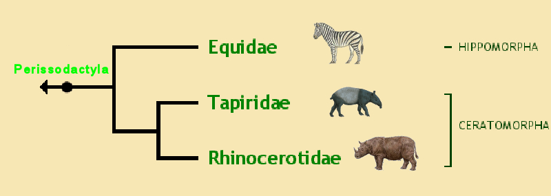 Supernova之家: 奇蹄目動物(Perissodactyla)-2015