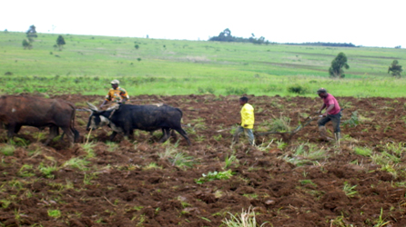 ANDA - Associação Nacional dos Deficientes de Angola: ANDA - 20 Anos de ...