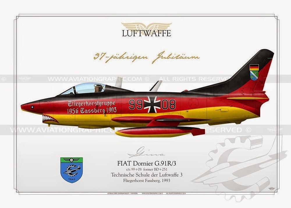 Blog de Aviones de Caza y Ataque: AERITALIA G91 Gina