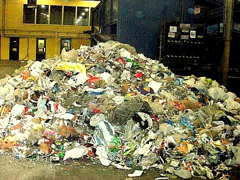 Regeneration in ACTION: Beyond Landfill Diversion