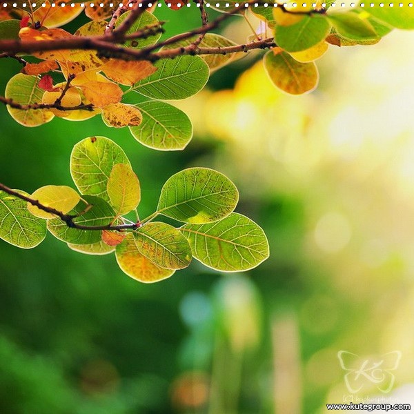 Muthu Rockzz: Best May Photography