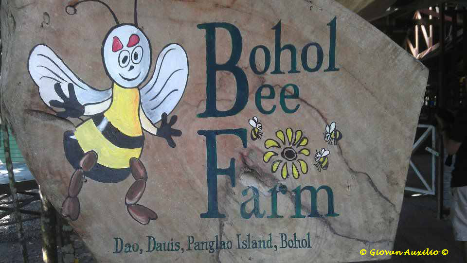 Hit the Road - The Lakwatsero Chronicles: Bohol Bee Farm